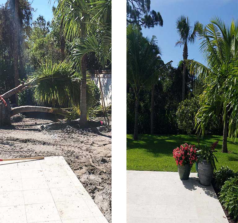 Services - Landscape Installation - Jenkins Landscape Co.